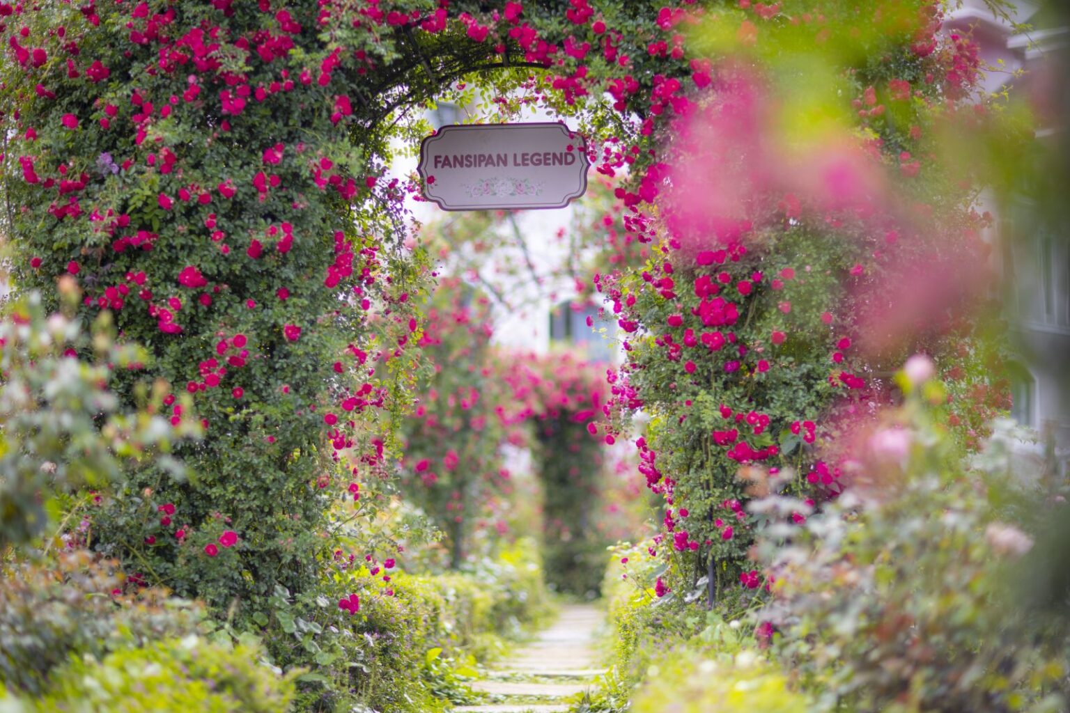 G8 SAPA VIP BUS - THE MOST FAMOUS VIP BUS TO SAPA